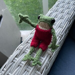 Custom Knitted Frog *OVERALLS ONLY* - Etsy