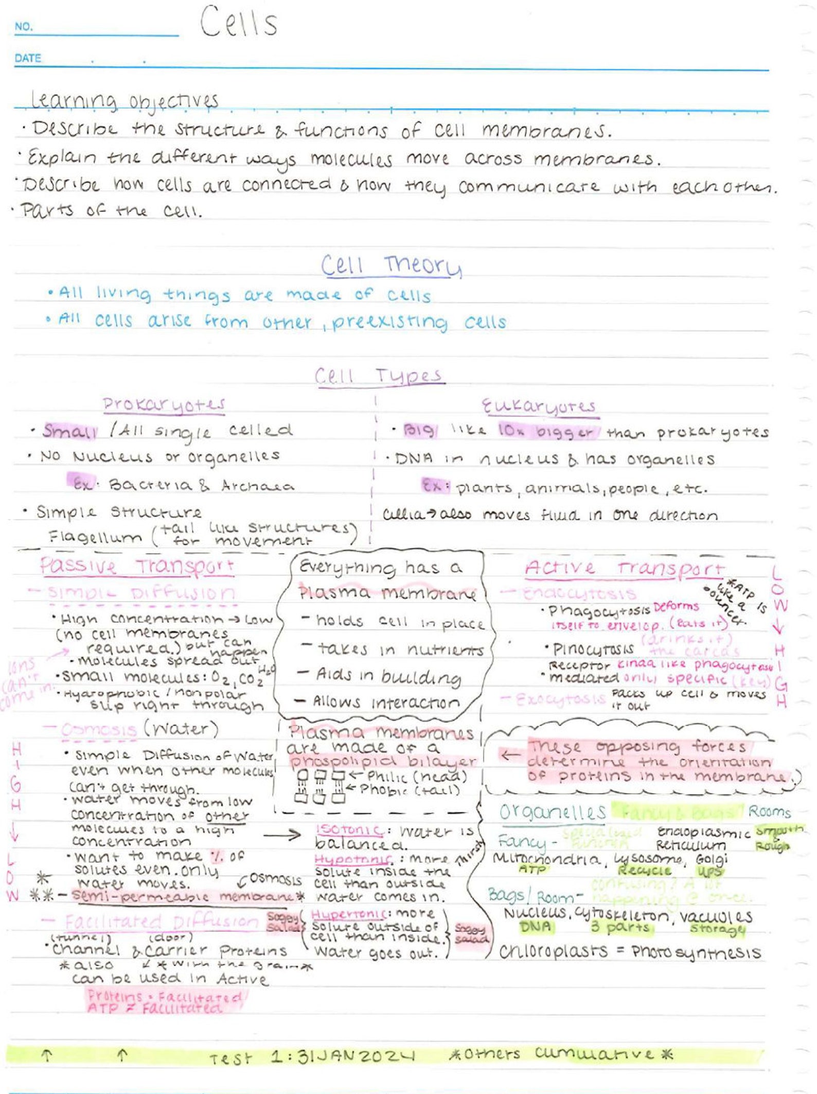 Biology Notes (college Level) - Etsy Canada