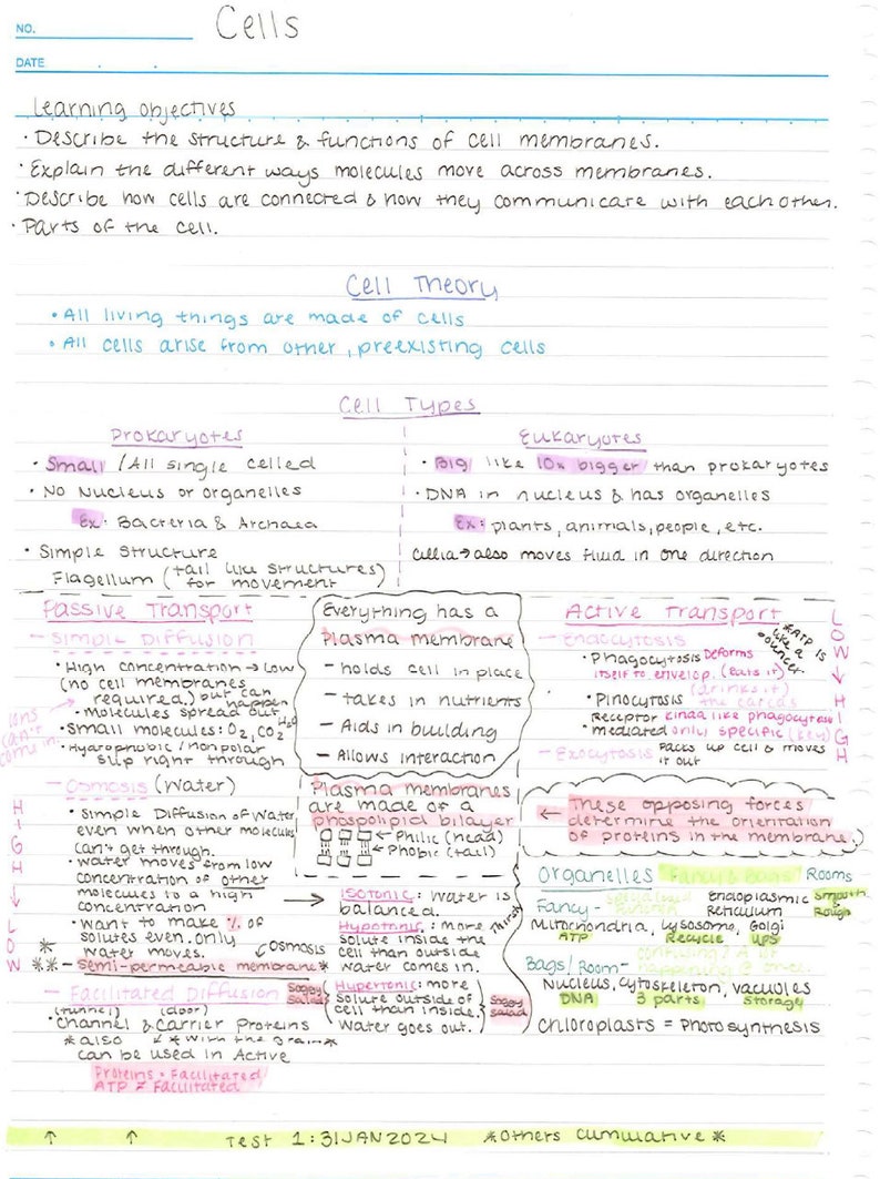 Biology Notes (college Level) - Etsy