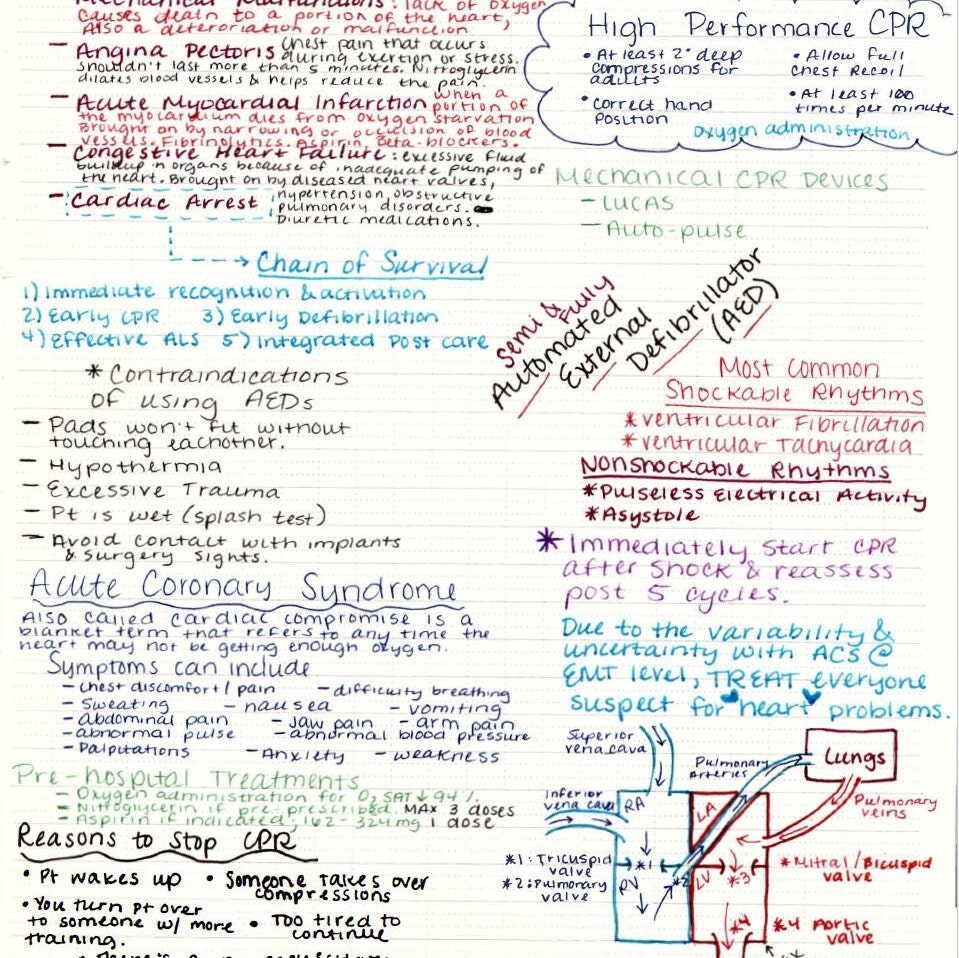 Cardiac Emergencies EMT Chapter 18 - Etsy