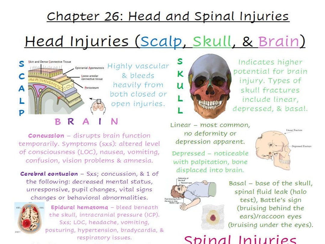 Head & Spinal Injuries EMT Crash Course Chapter 26 - Etsy