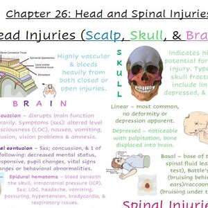 Head & Spinal Injuries EMT Crash Course Chapter 26 - Etsy