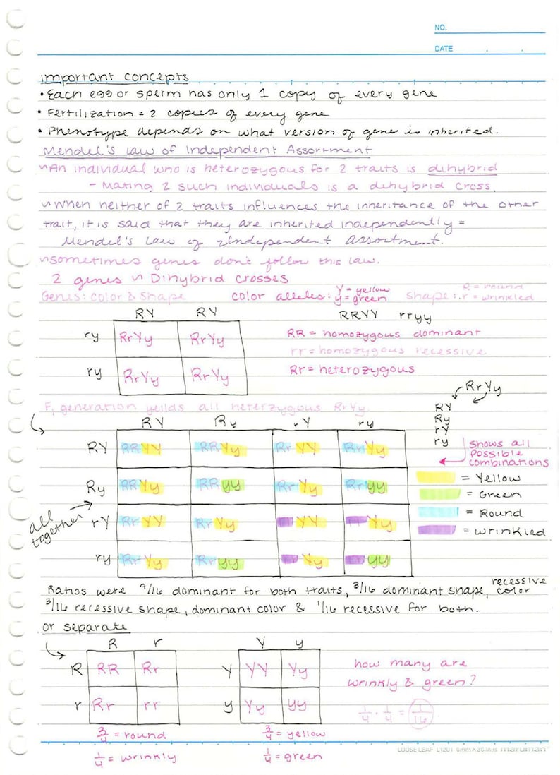 Biology Notes (college Level) - Etsy