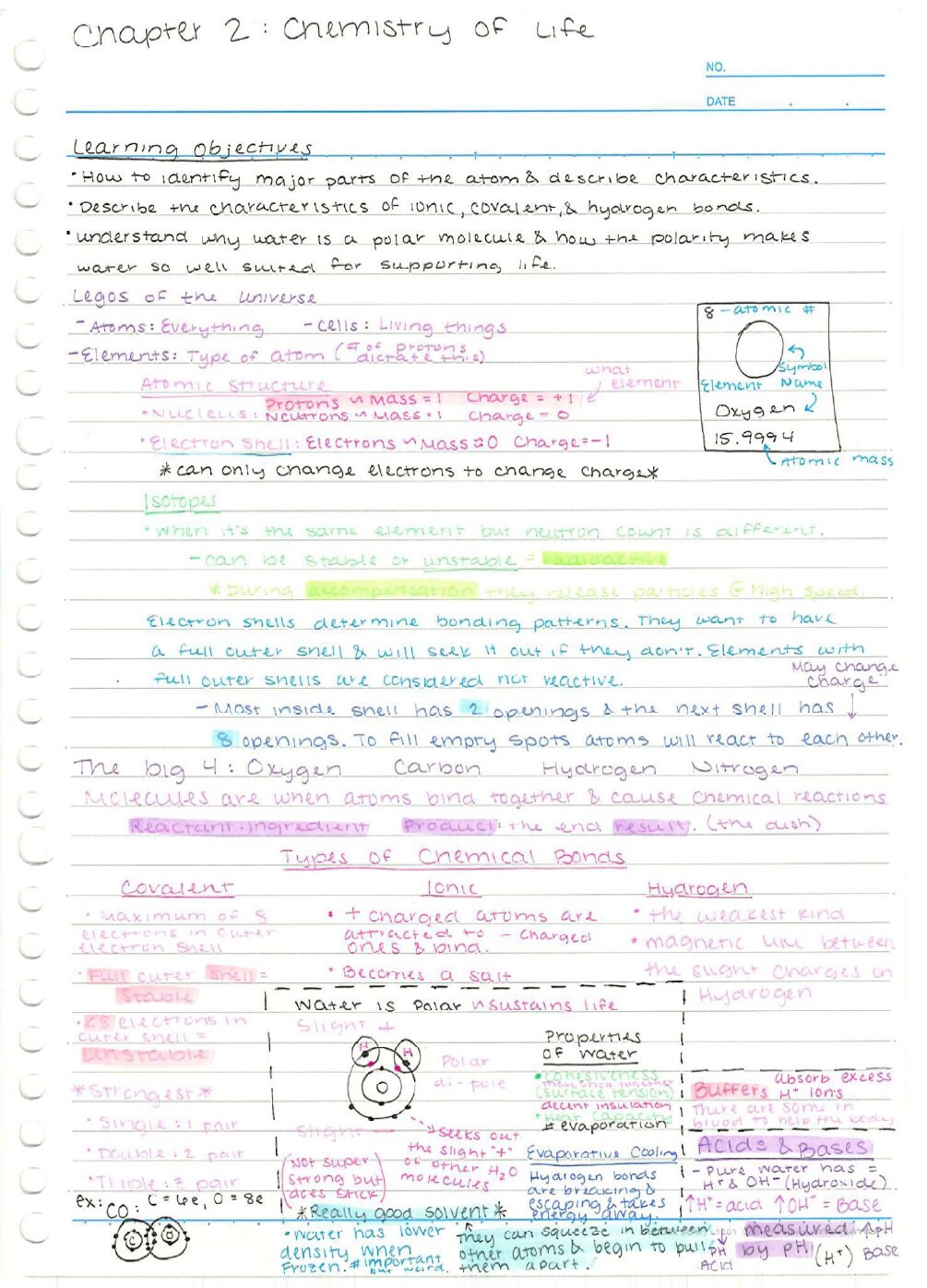 Biology Notes (college Level) - Etsy