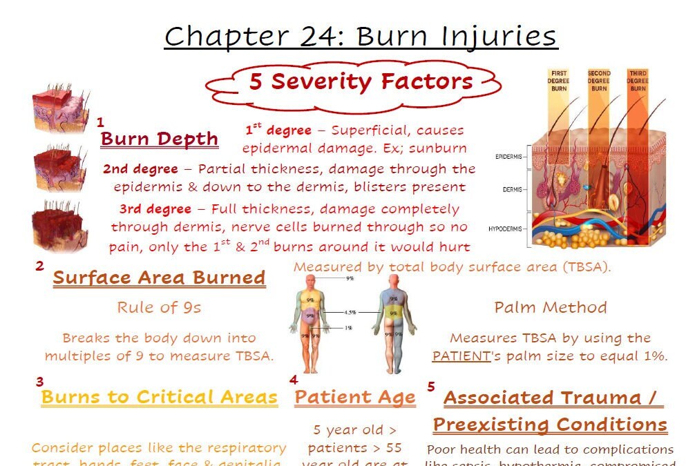 Burn Injuries EMT Crash Course Chapter 24 - Etsy
