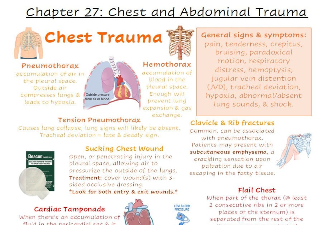Chest & Abdominal Trauma EMT Crash Course Chapter 27 - Etsy