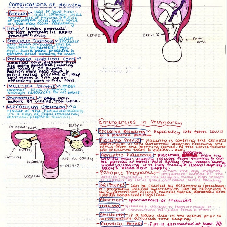 OBGYN/ Neonatal Emergencies EMT Chapter 32 - Etsy