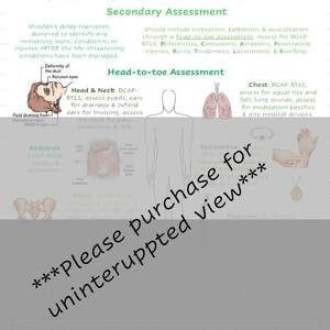 Patient Assessment EMT Crash Course Chapter 12 Notes - Etsy