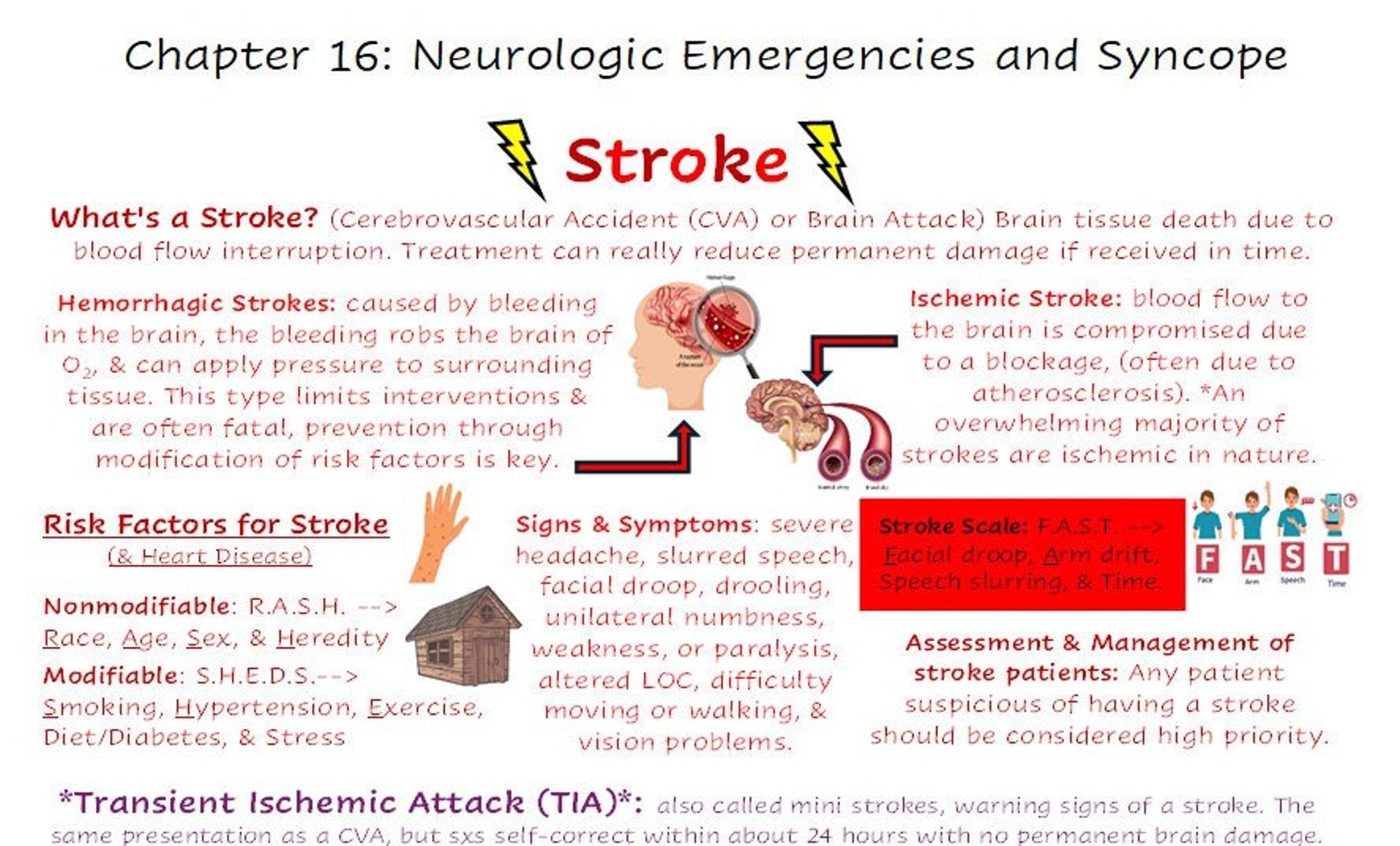 Neurologic Emergencies & Syncope EMT Crash Course Chapter 16 Notes - Etsy