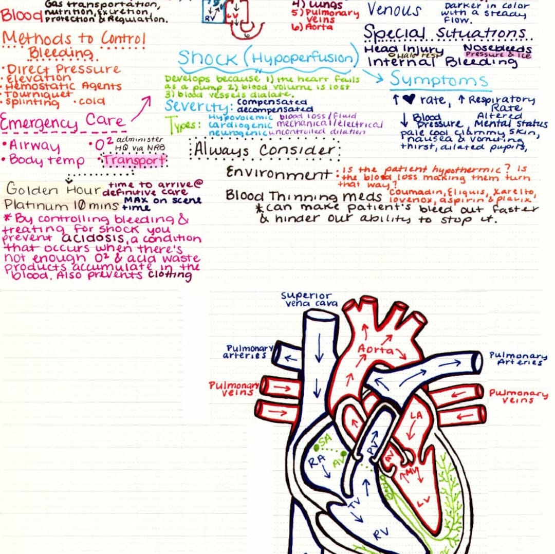 Bleeding and Shock EMT Chapter 25 - Etsy