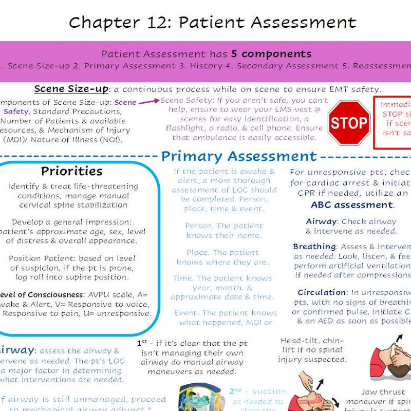 Patient Assessment Emt - Etsy