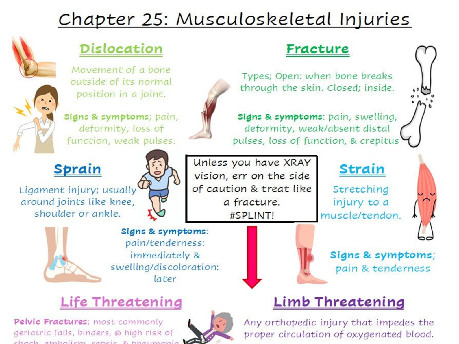 Musculoskeletal Injuries EMT Crash Course Chapter 25 - Etsy