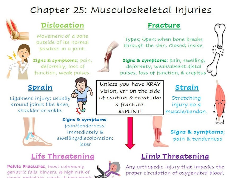 Musculoskeletal Injuries EMT Crash Course Chapter 25 - Etsy