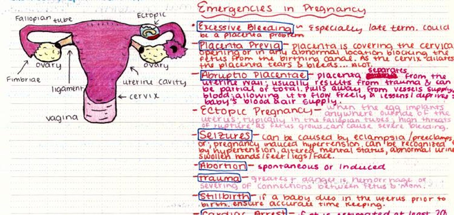 OBGYN/ Neonatal Emergencies EMT Chapter 32 - Etsy