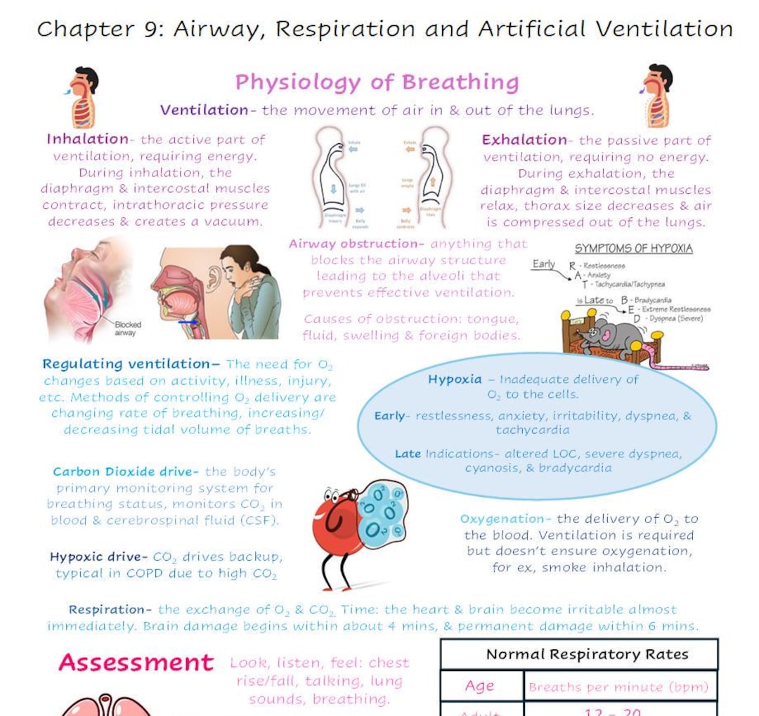 Airway, Respiration, & Artificial Ventilation EMT Crash Course Chapter ...