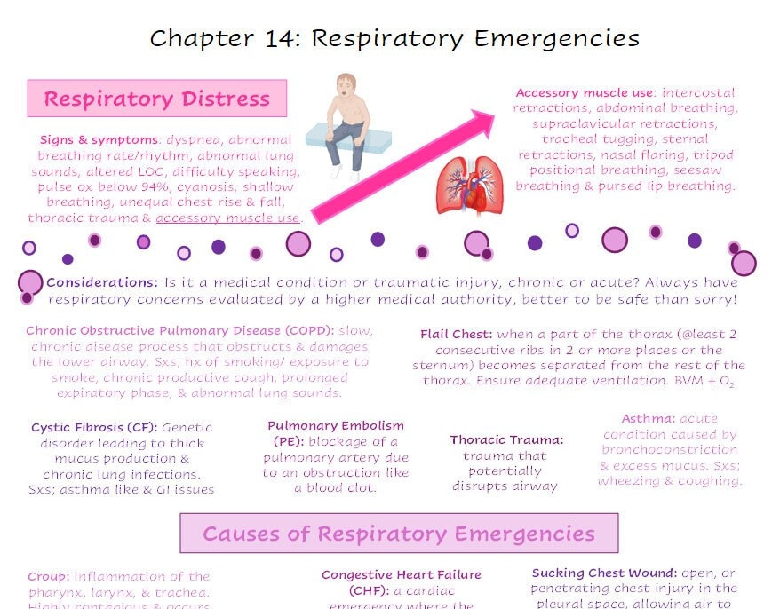 Respiratory Emergencies EMT Crash Course Chapter 14 Notes - Etsy