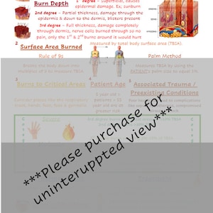 Burn Injuries EMT Crash Course Chapter 24 - Etsy
