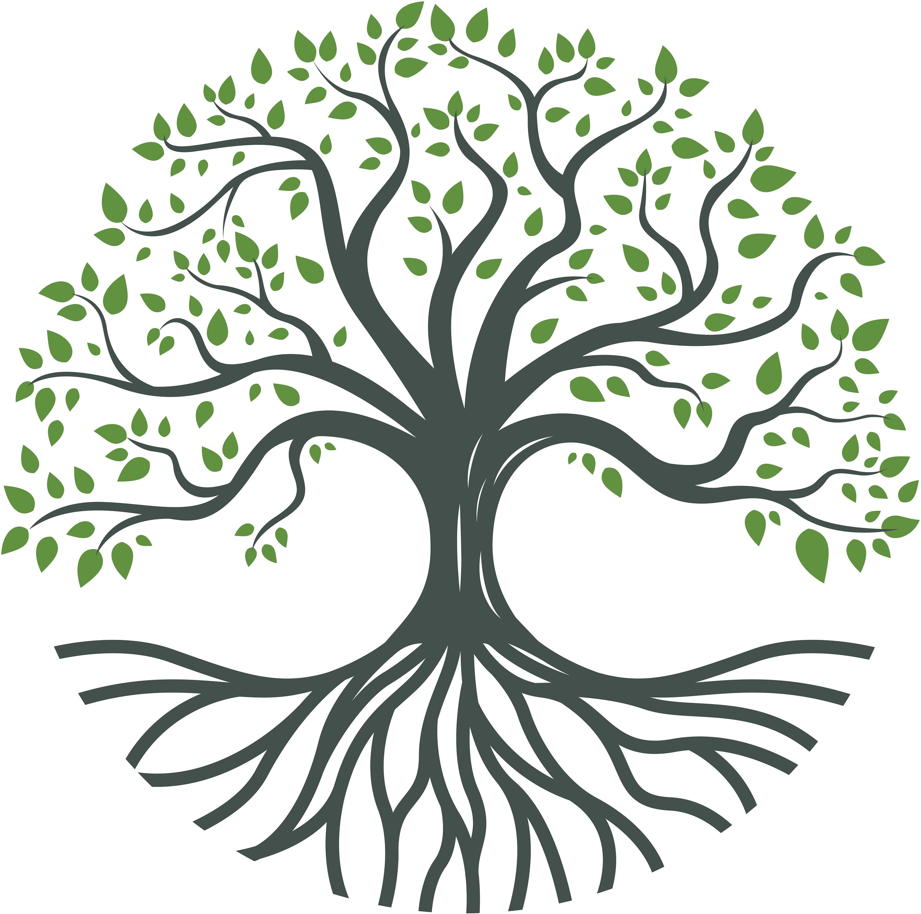 Family Tree SVG: Circle Root Design, Monochrome & Colored (digital ...
