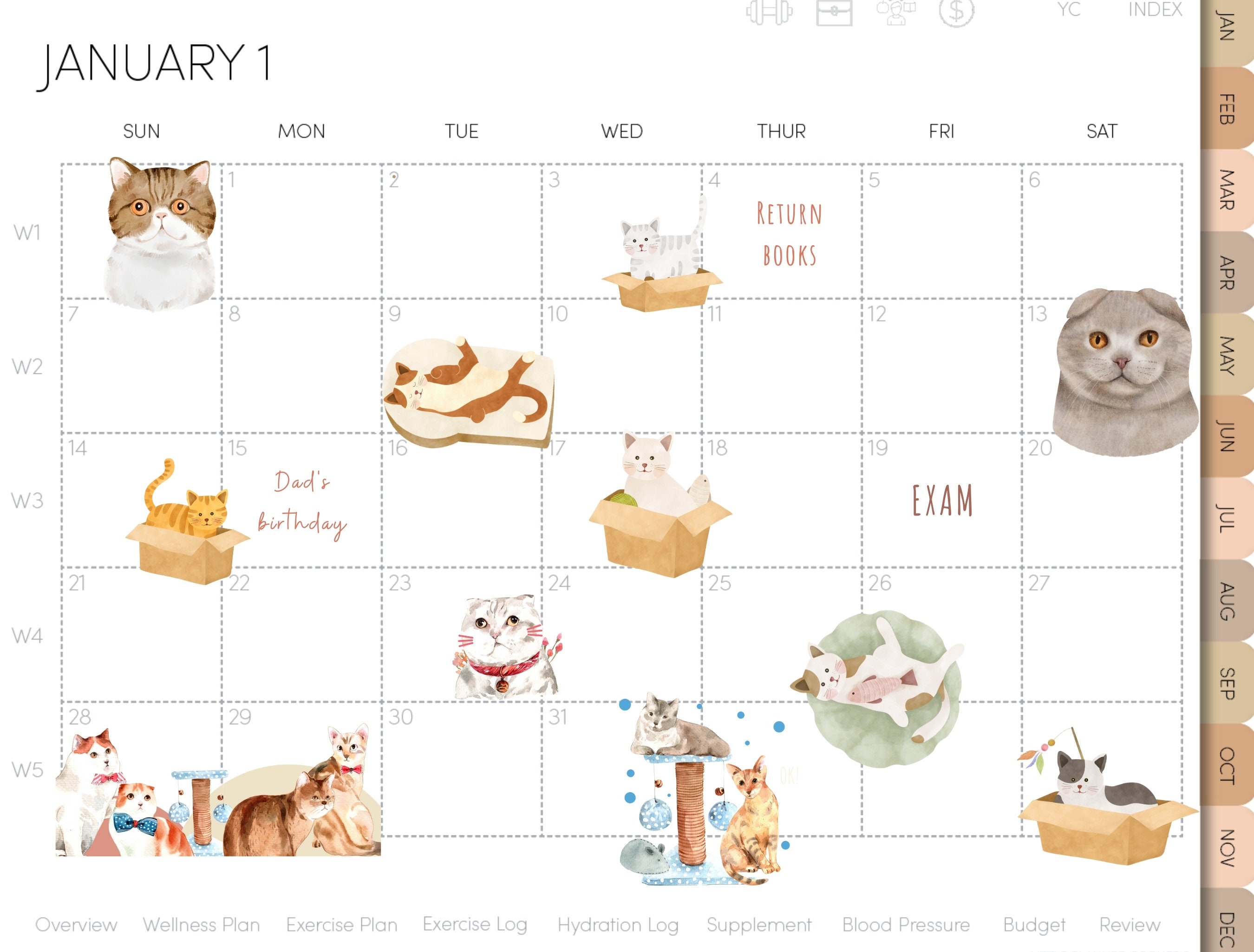 Cute Kitten Goodnotes Stickers | Animals Digital Stickers |cute Cat ...