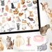 Cute Kitten Goodnotes Stickers | Animals Digital Stickers |cute Cat ...