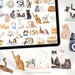 Cute Kitten Goodnotes Stickers | Animals Digital Stickers |cute Cat ...
