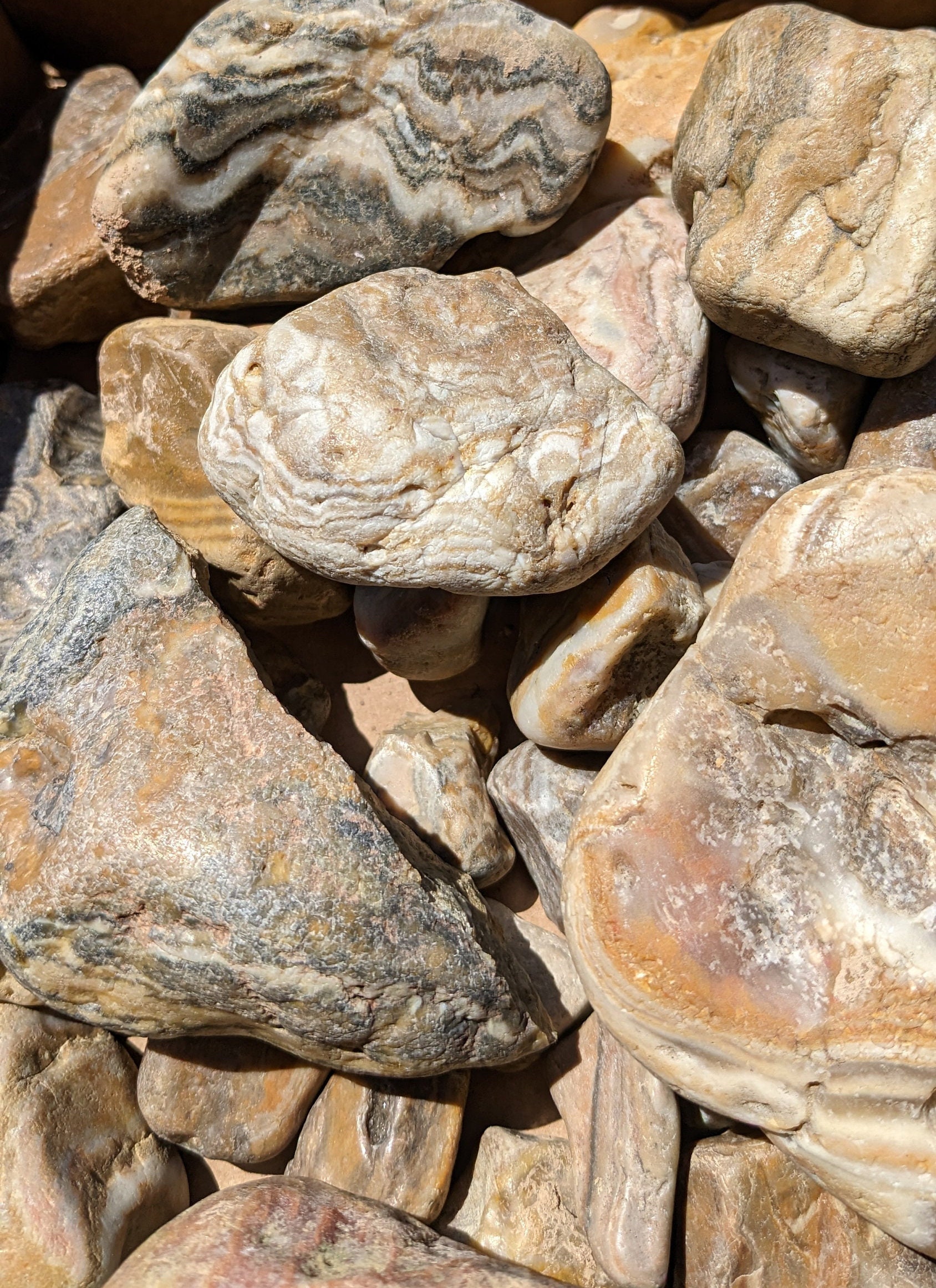 Prairie Agates small to Medium Size, 2 Lb From Near the Badlands and ...