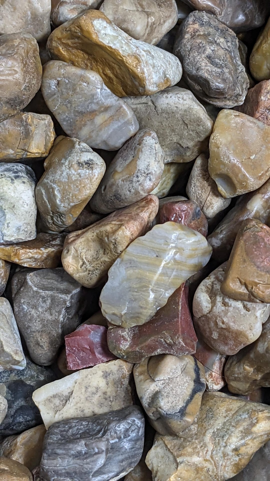 Xsmall Prairie Agates (~.5-2 In, 2+ Lb) From Near the Badlands and the ...