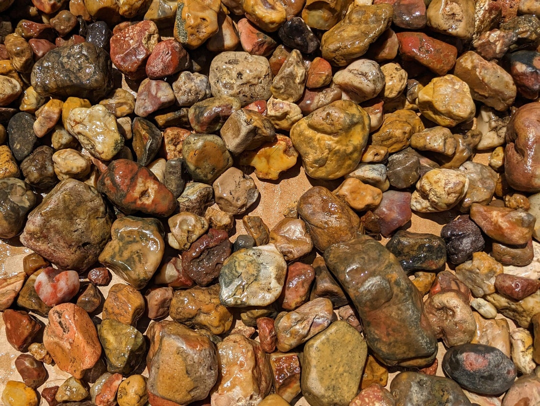 Bubblegum Agates all Sizes, 2 Lb From Near the Badlands & Prairie of ...