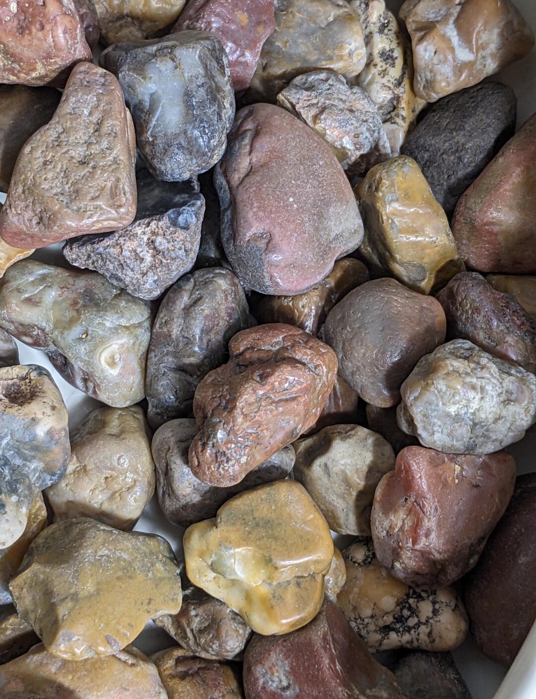 Medium Bubblegum Agates 1-1.75 In, 2 Lb From Near the Badlands ...