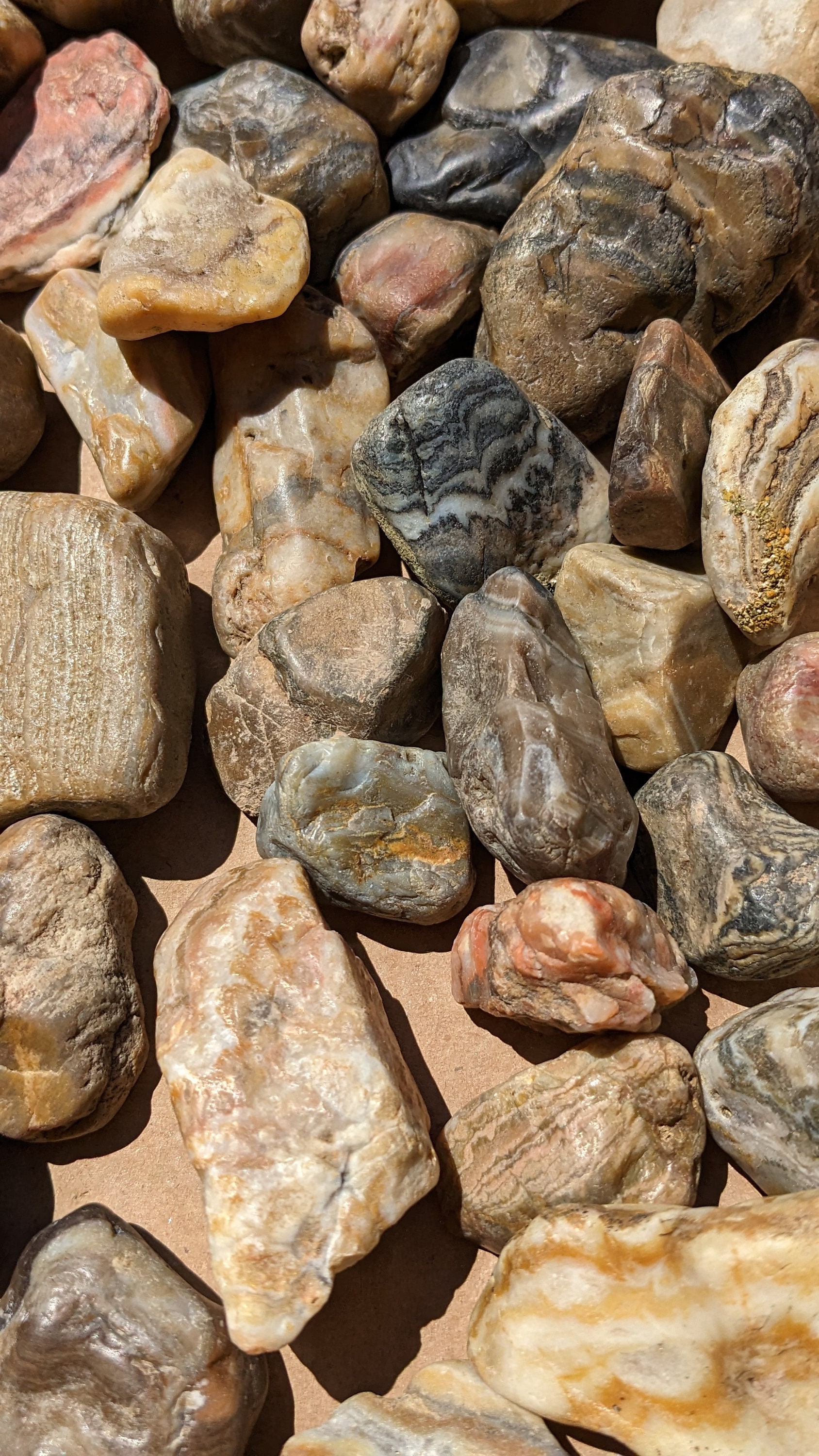 Prairie Agates small to Medium Size, 2 Lb From Near the Badlands and ...