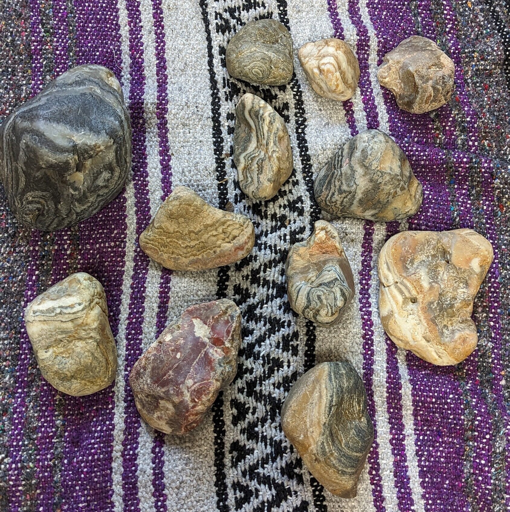 Large Prairie Agates From the Outskirts of the Badlands and - Etsy