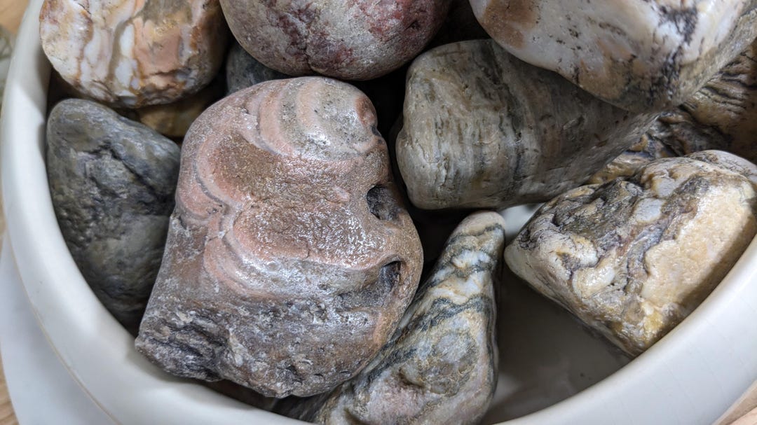 Xlarge Prairie Agates (~3-4.5 In, 6+ Lb) From Near the Badlands and the ...