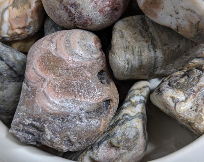 Xlarge Prairie Agates (~3-4.5 In, 6+ Lb) From Near the Badlands and the ...