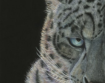 Leopard Note Cards Set of 10 With Matching Envelopes - Etsy