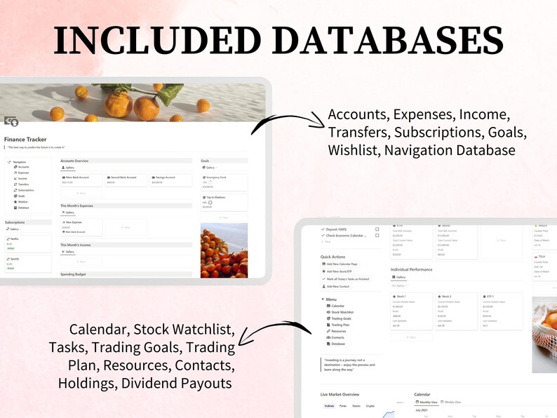 Notion Template Bundle Notion Template for Finance & - Etsy