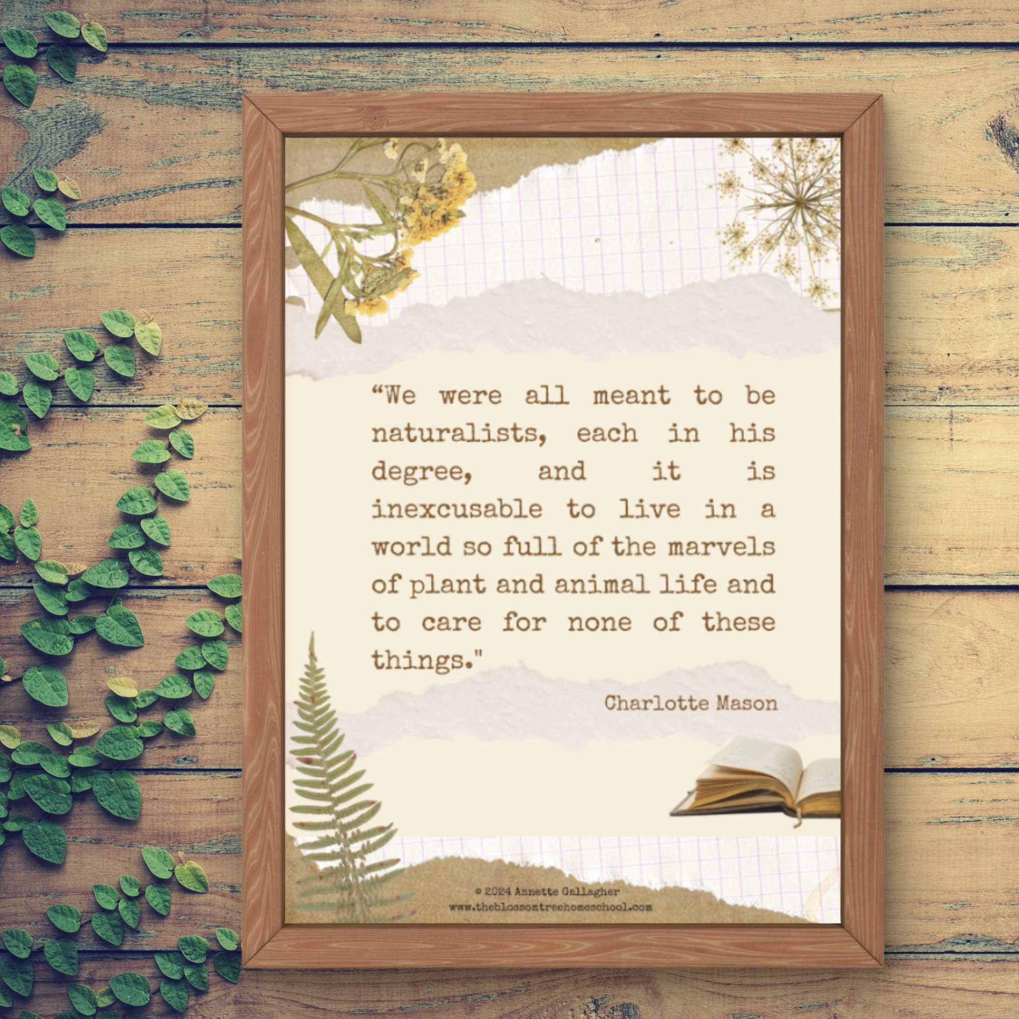 Printable Nature Journal Homeschool Learning Resources Charlotte Mason ...