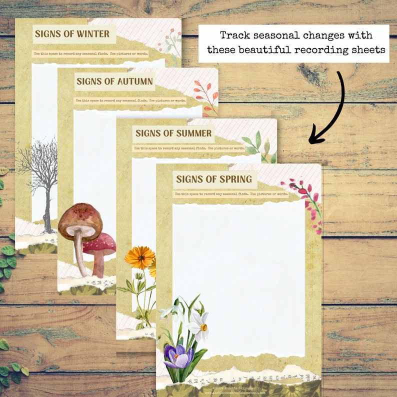 Printable Nature Journal Homeschool Learning Resources Charlotte Mason ...