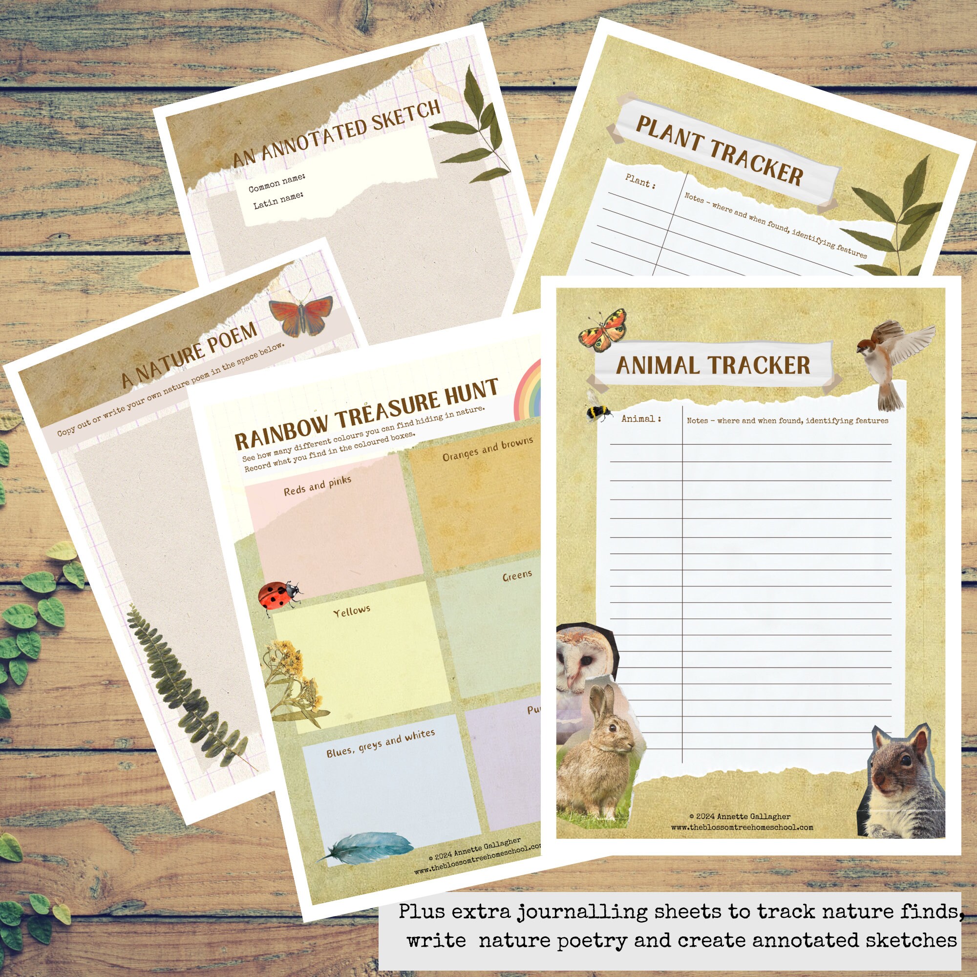 Printable Nature Journal Homeschool Learning Resources Charlotte Mason ...