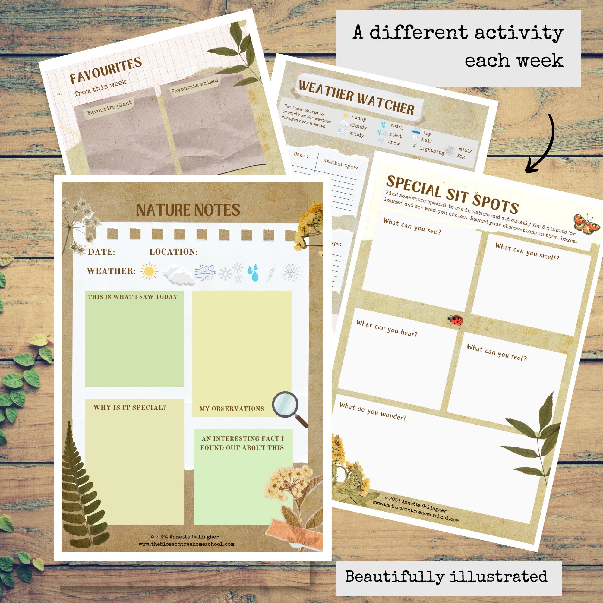 Printable Nature Journal Homeschool Learning Resources Charlotte Mason ...