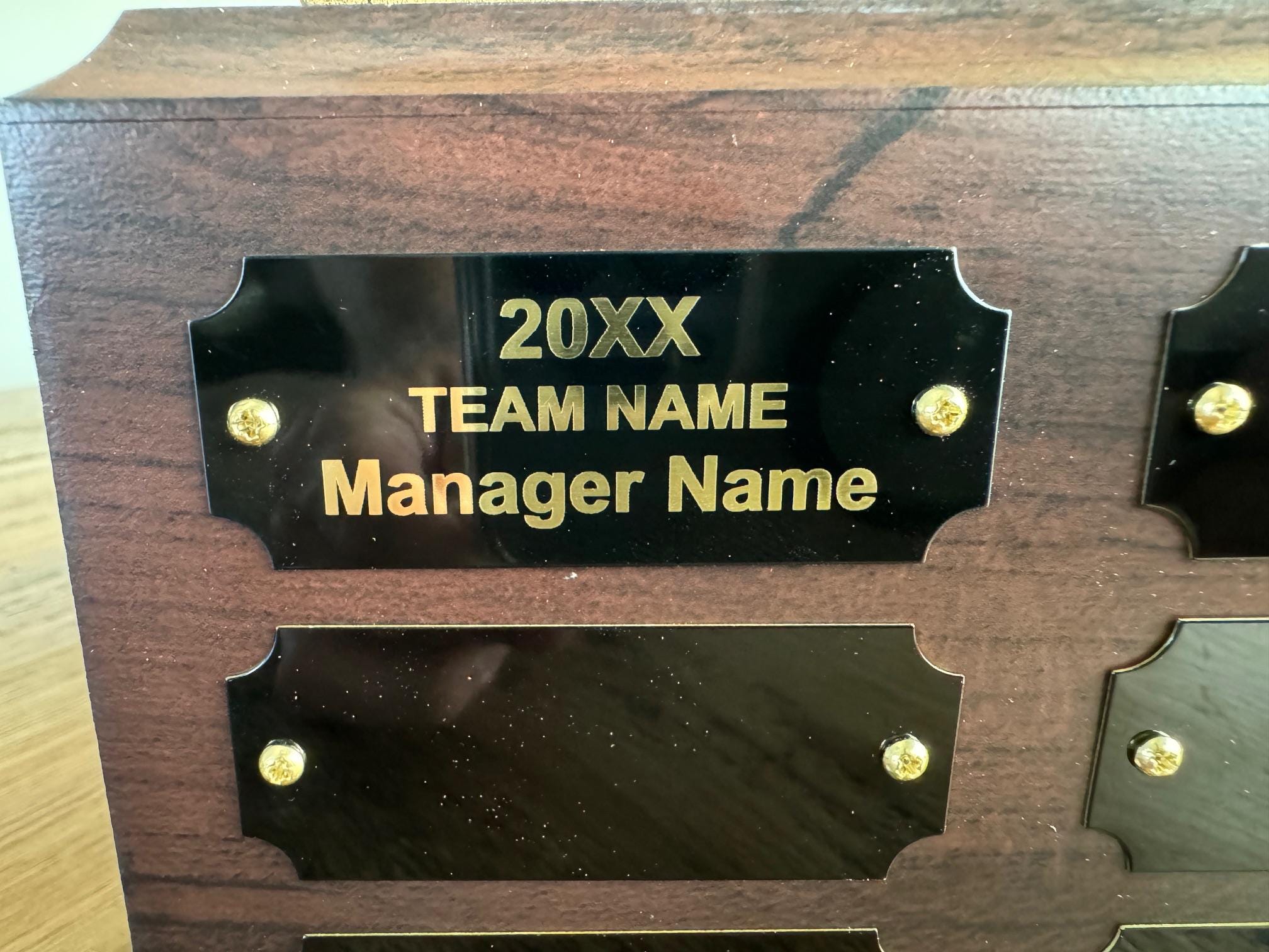 15” Fantasy Football LOSER Trophy W/ Base - Room for up to 24 Years ...