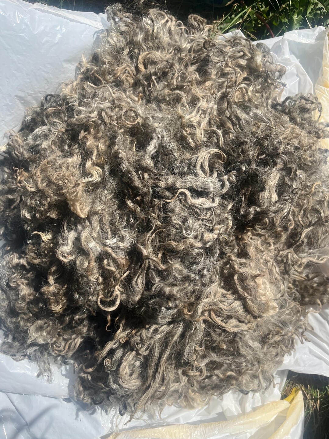 Gotland Raw Wool Lamb Fleece Arthur - Etsy