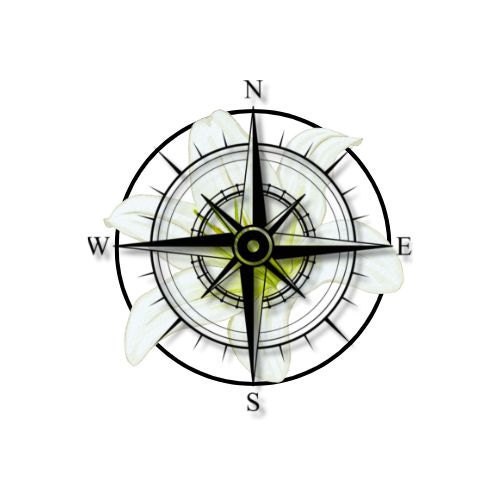 compasslily - Etsy
