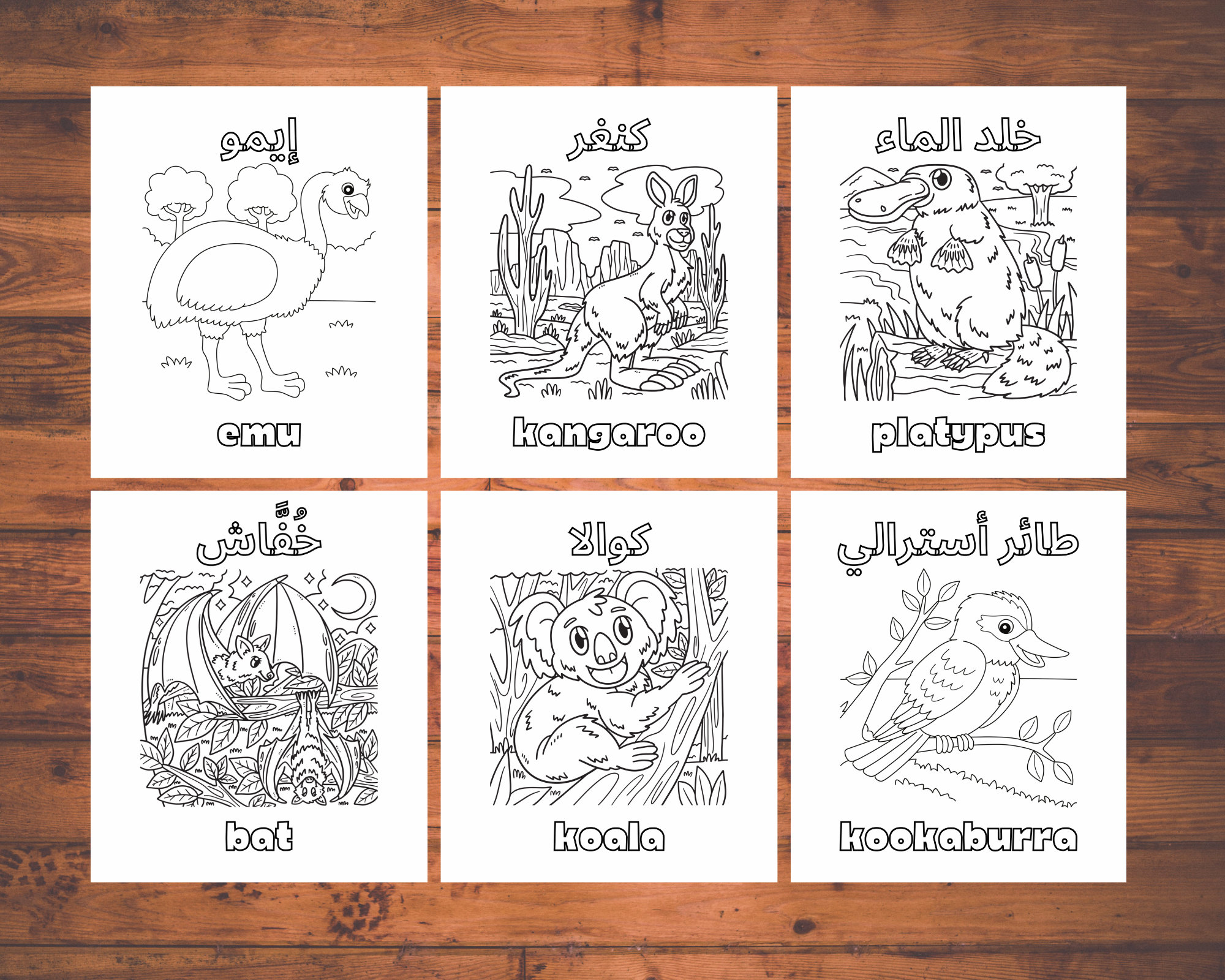 Eight Arabic Homeschool Coloring Sheets: the Outback Collection - Etsy