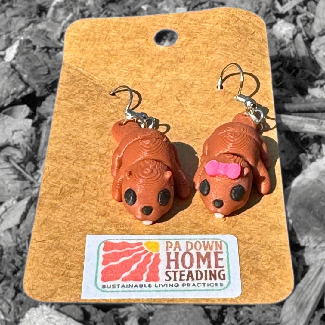 Beaver Dangle Earring Marine Animal Beach Theme Ocean Earrings Summer ...