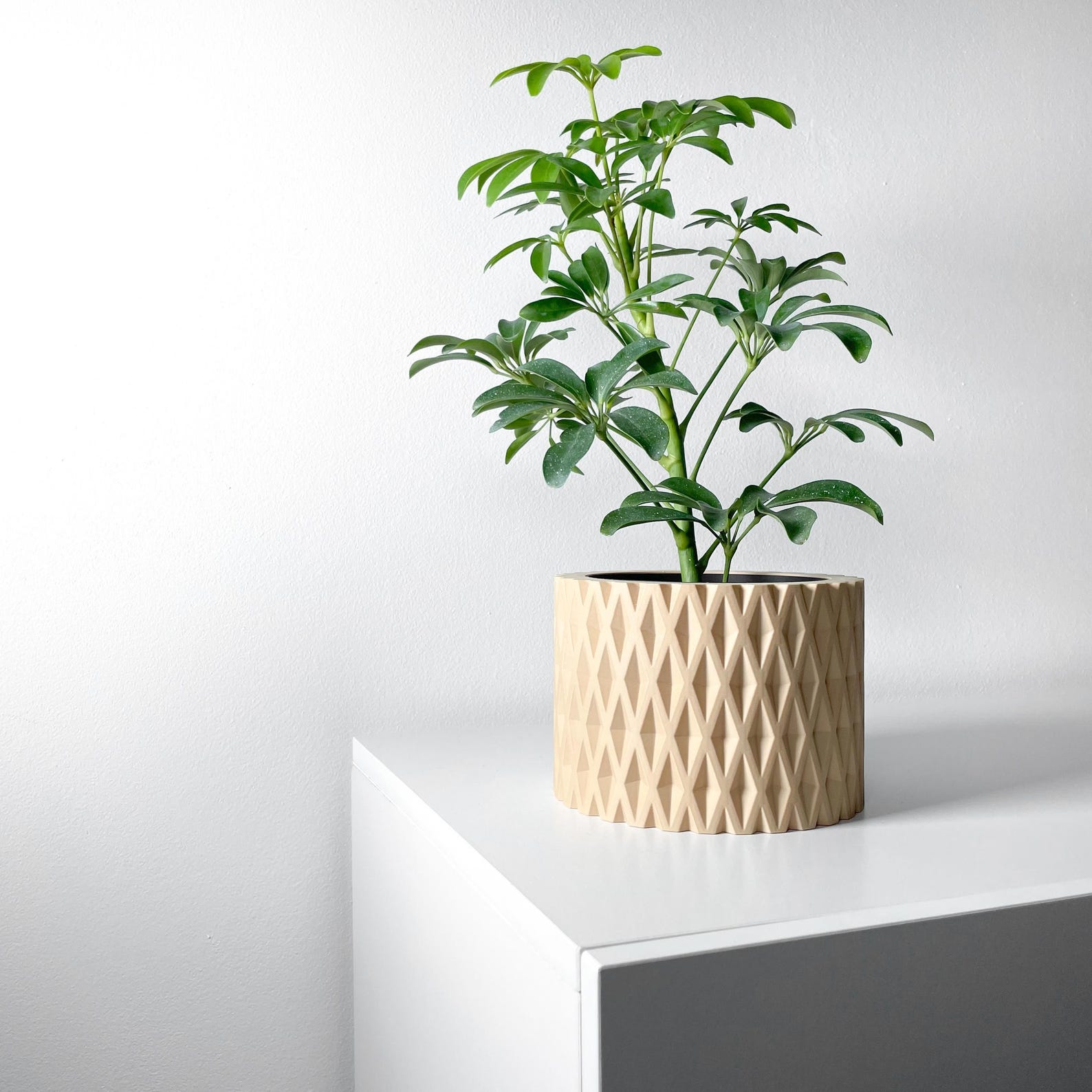 A "grivan" Trendy Plant Pot | Modern Design | Succulent House Plant ...