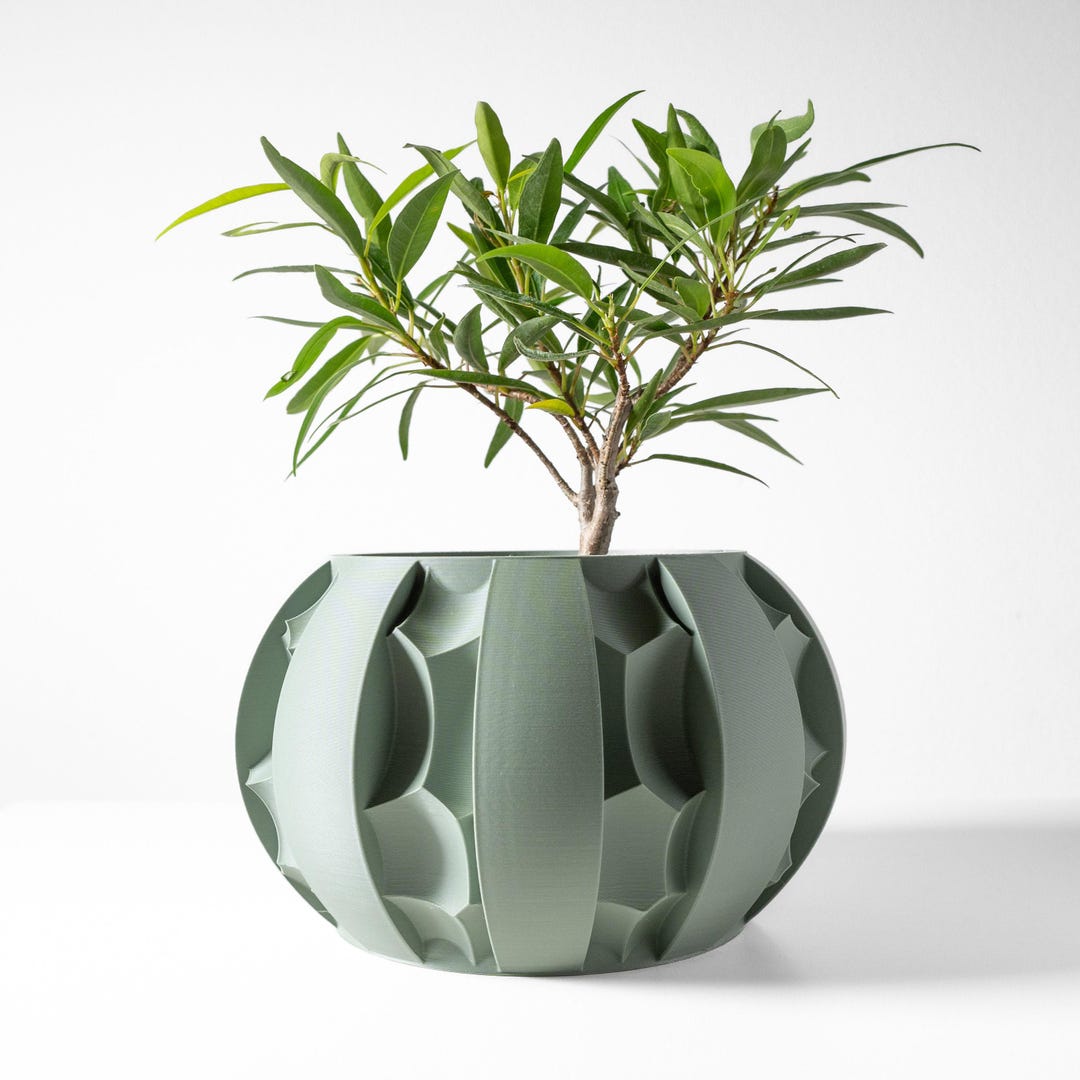 The "erna" Planter | Modern Contemporary | Cactus Succulent House ...