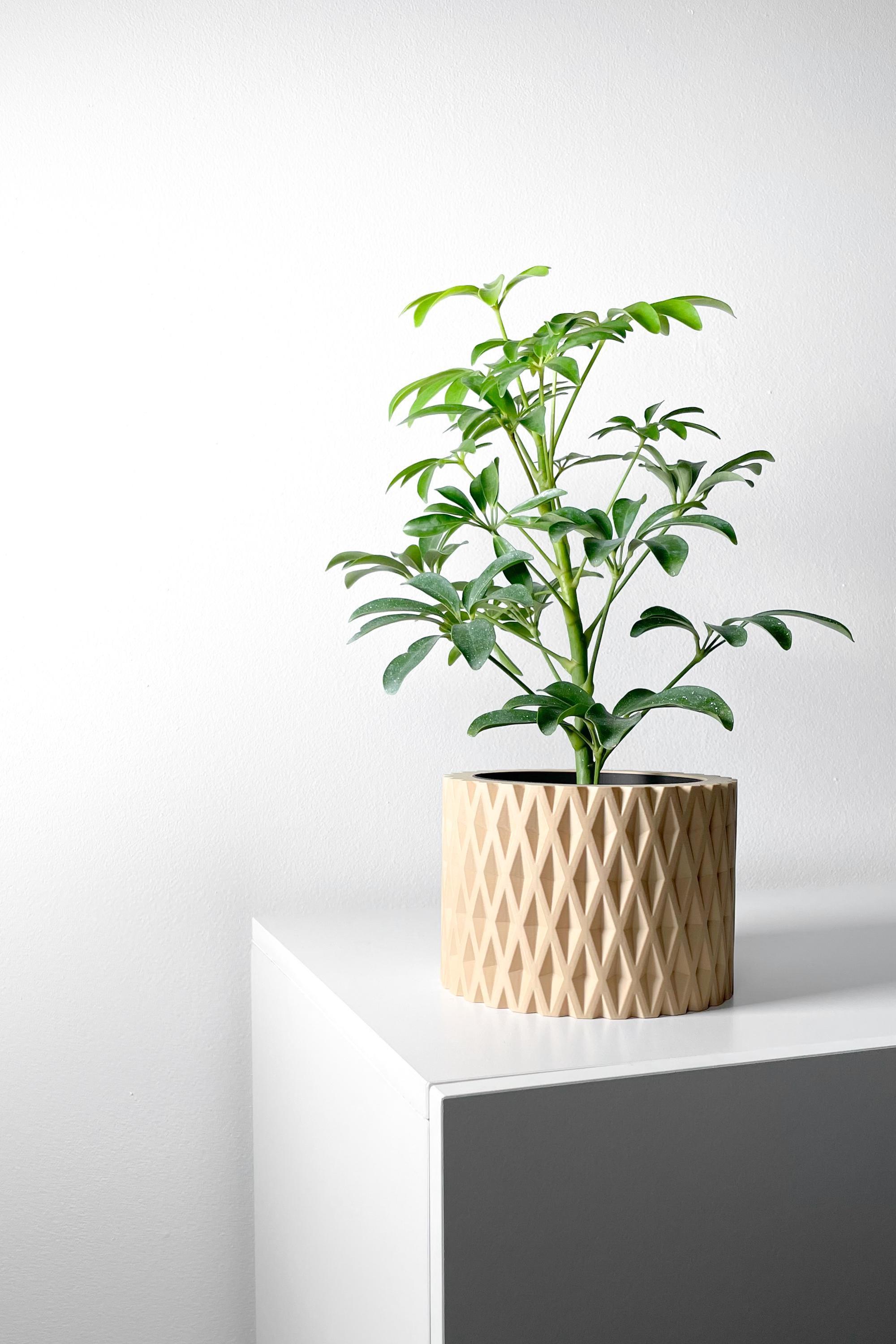 A "grivan" Trendy Plant Pot | Modern Design | Succulent House Plant ...