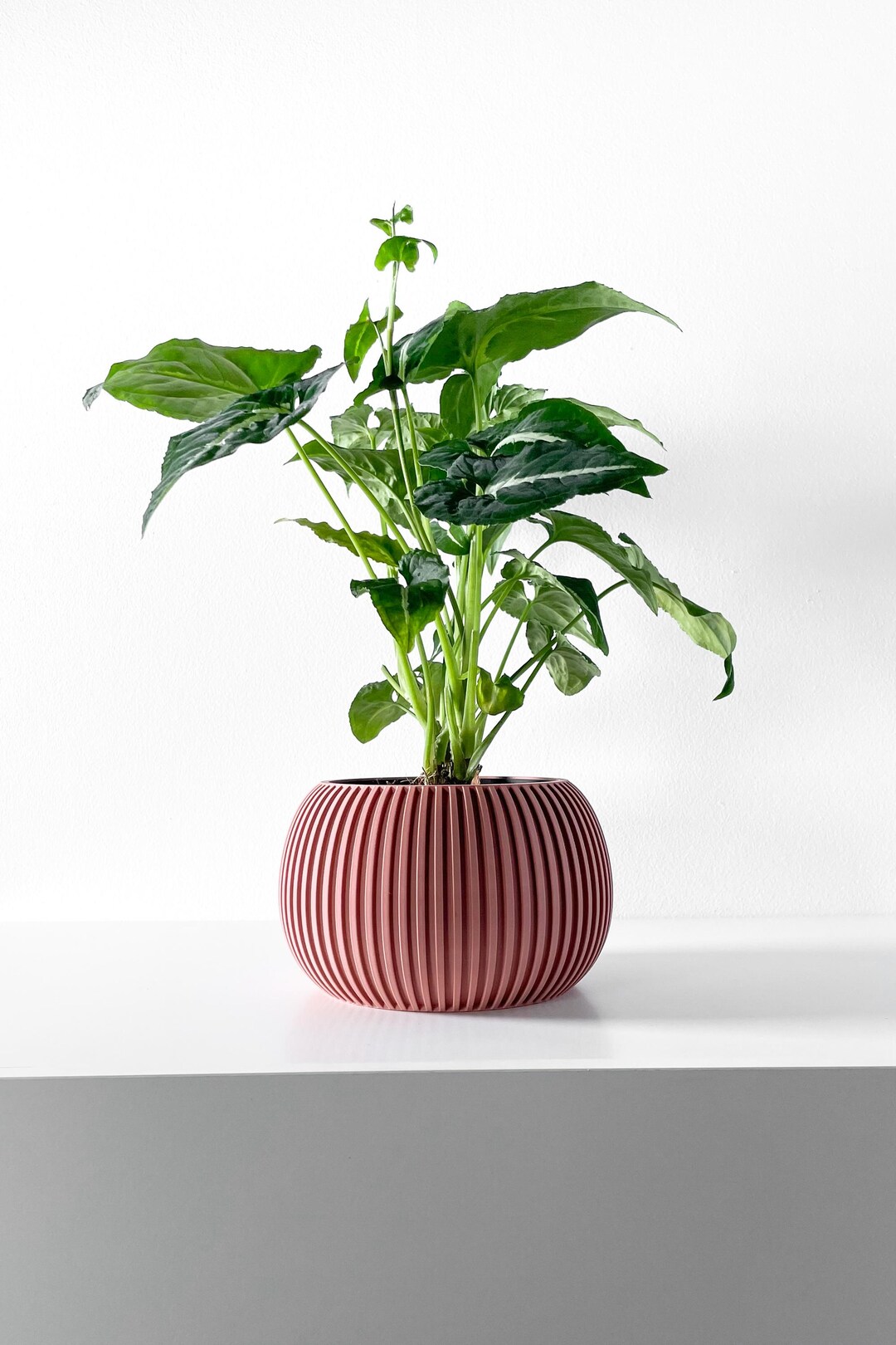 The "surno " Planter | NEW Sizes & Colors Available | Modern 3D Made ...