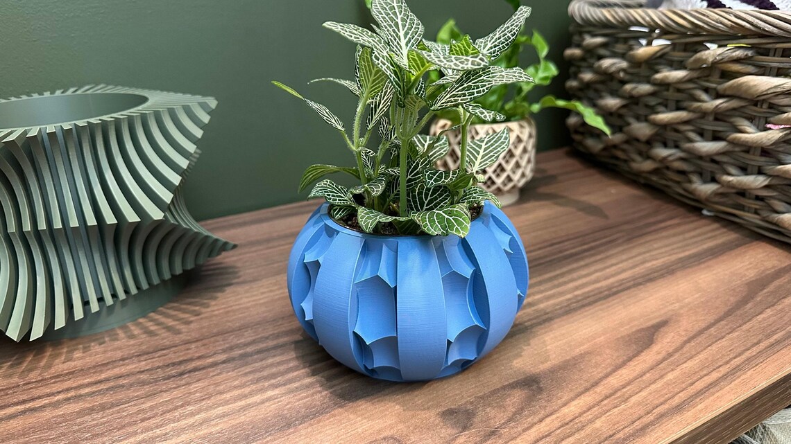 The "erna" Planter | Modern Contemporary | Cactus Succulent House ...