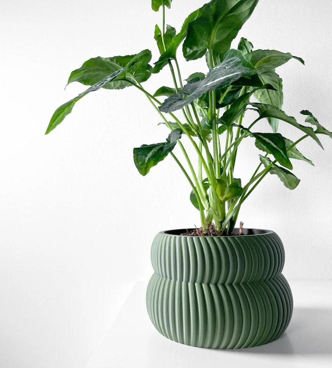 The "quarn" Planter | Contemporary Design | Succulent House Plant ...